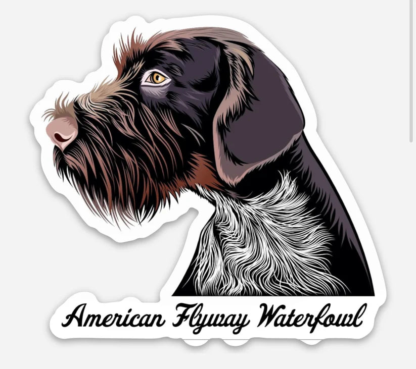 American Flyway Waterfowl German Wirehaired Pointer – Cardinal Creek ...